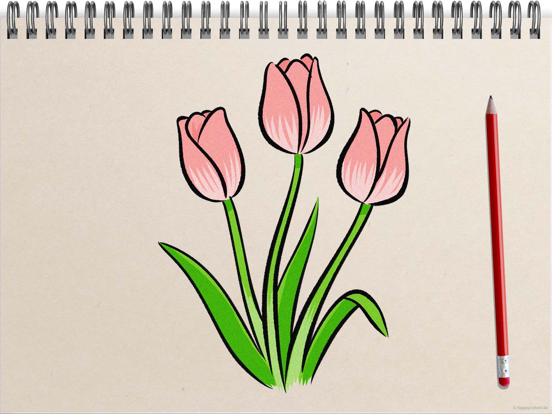 Tulpe Zeichnen Schritt f r Schritt Anleitung Mit Bildern Tulpe Malen